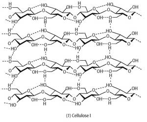 Cellobiose Structure